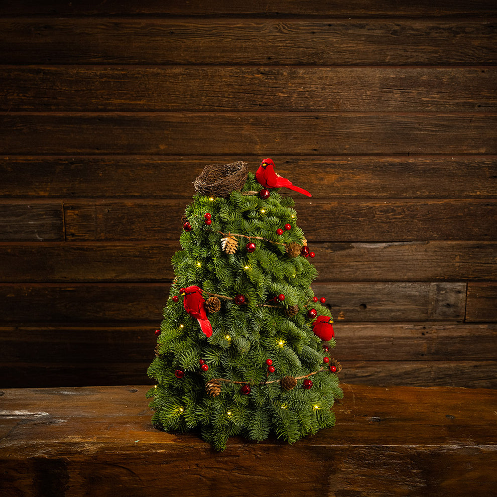 Cardinal Christmas – Lynch Creek Farm