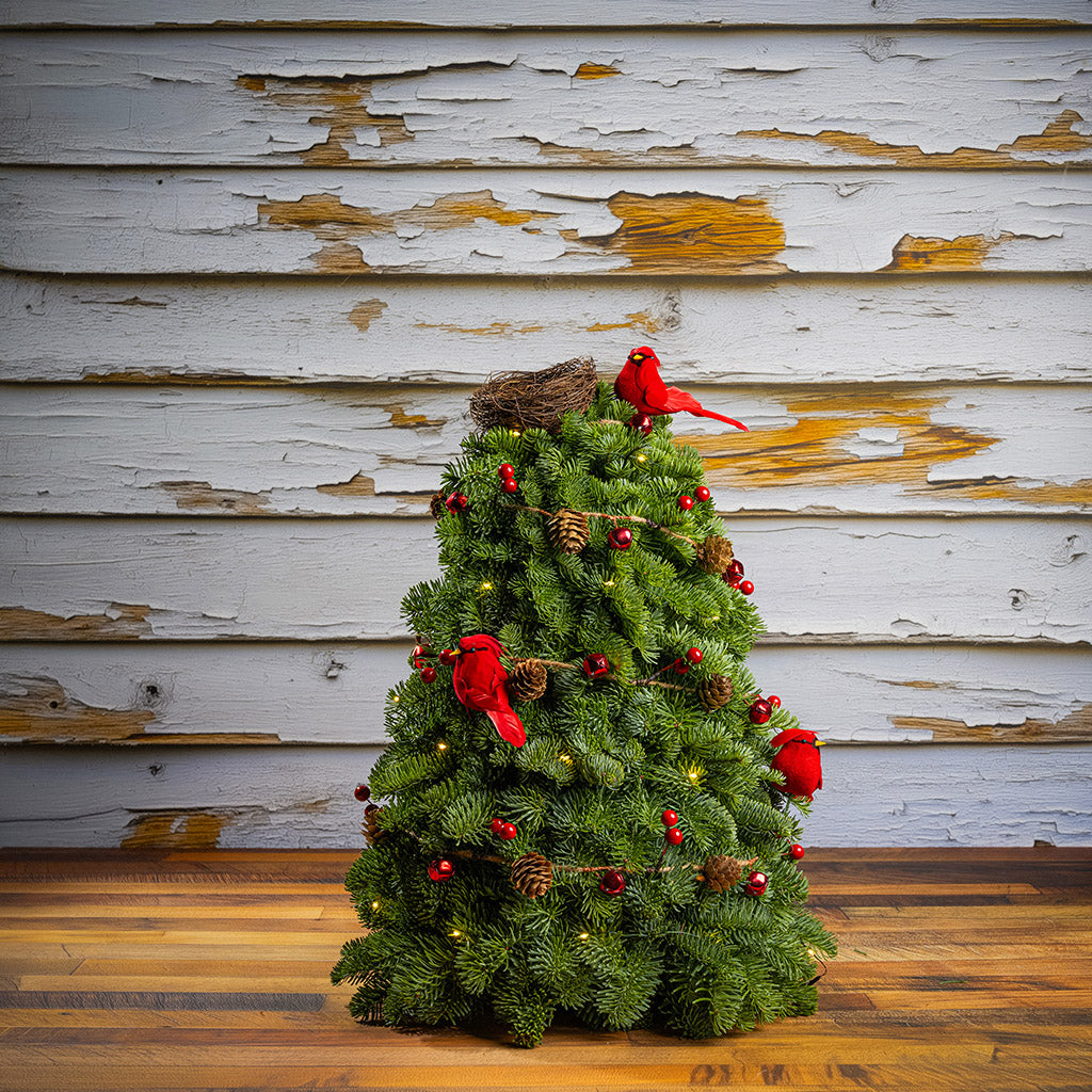 Cardinal Christmas – Lynch Creek Farm