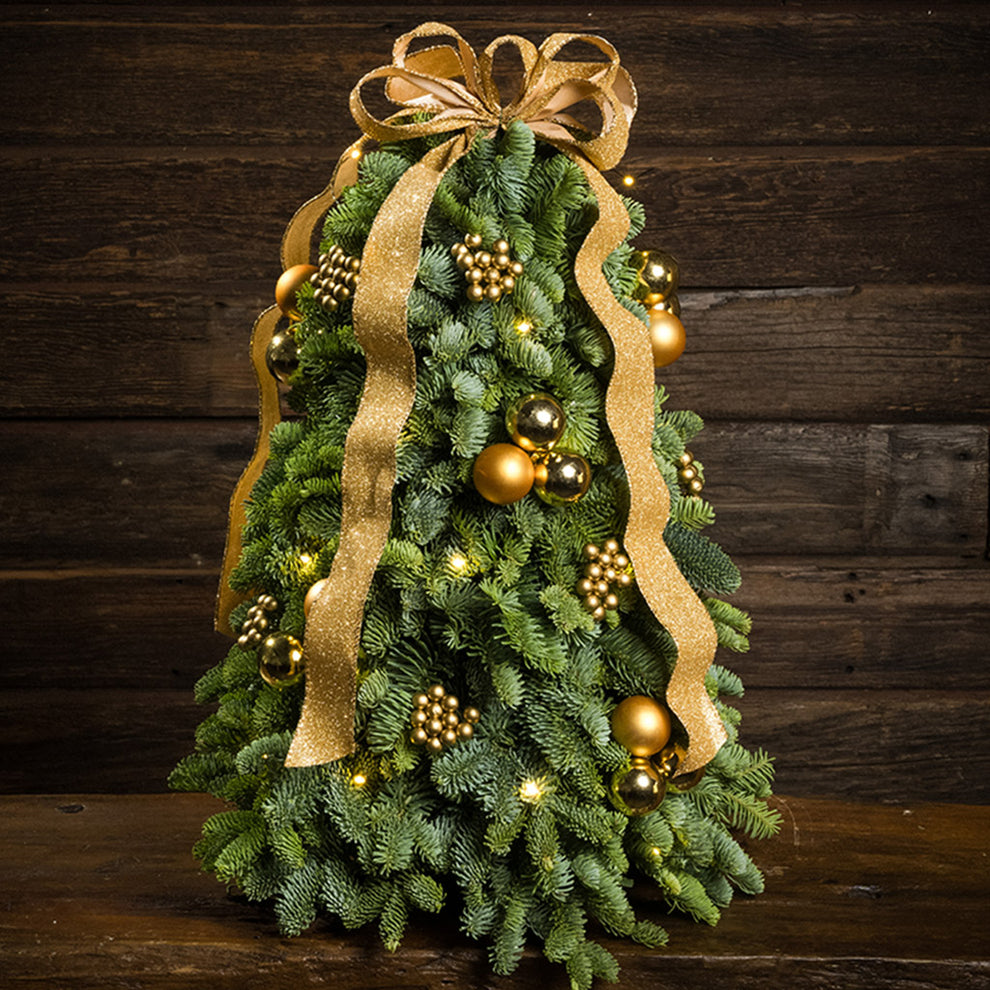 Golden Elegance Tree – Lynch Creek Farm