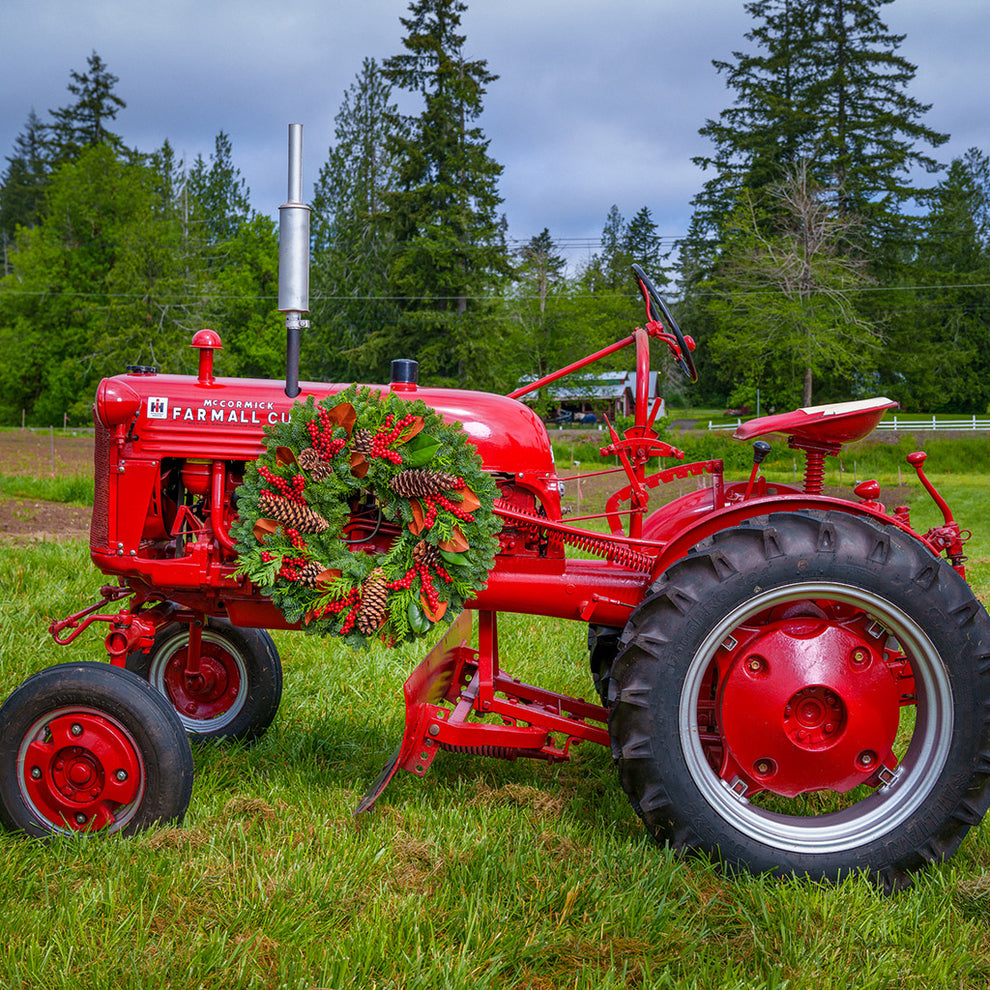 Magnolia Woods – Lynch Creek Farm