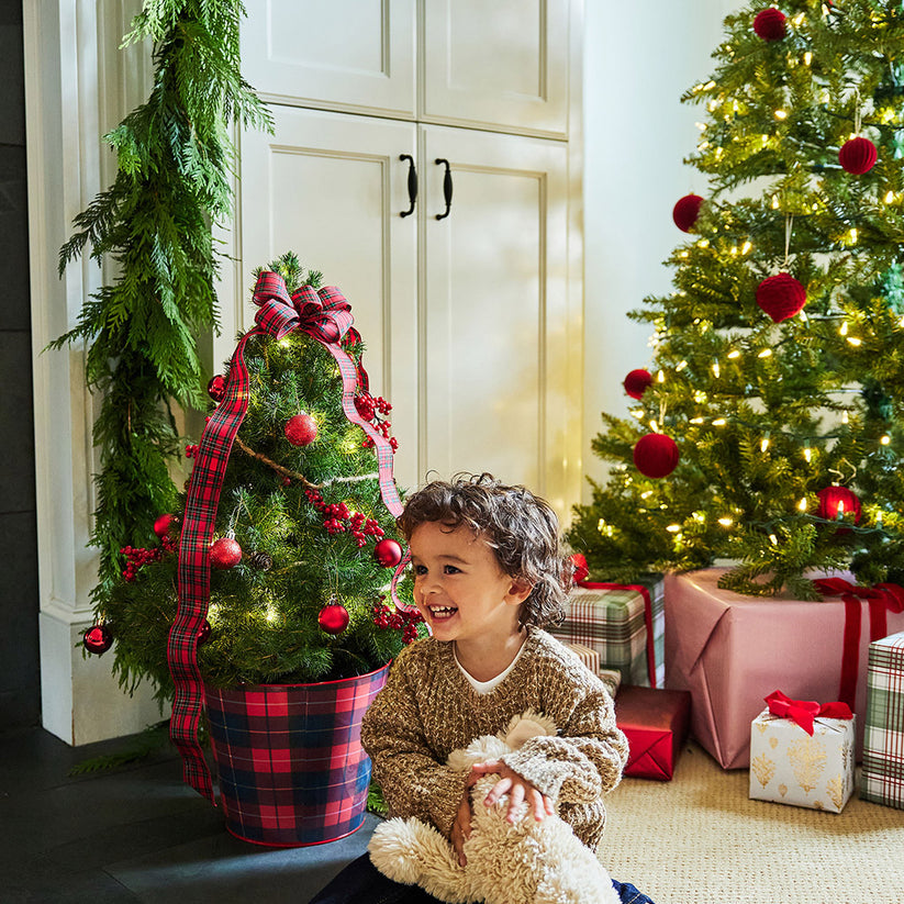 Perfect Plaid Living Christmas Tree - 2 Gallons – Lynch Creek Farm
