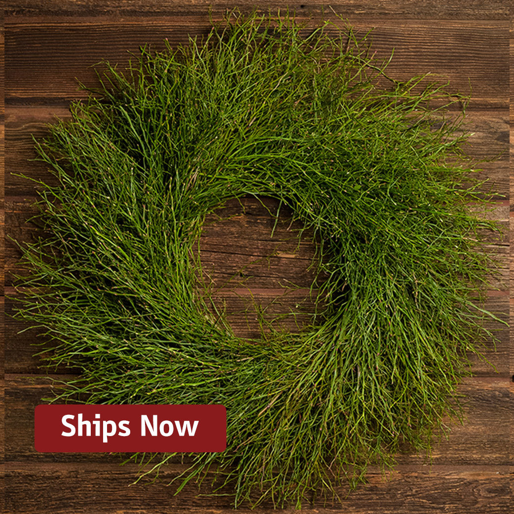 Sweet Huck – Lynch Creek Farm