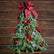Tartan Tree – Lynch Creek Farm